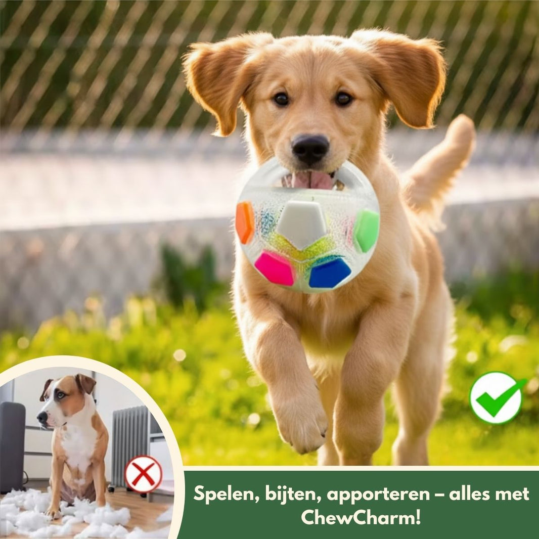 Alles voor jouw hond – NORINDO